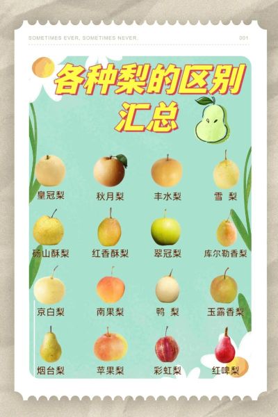 梨子图片水果_梨子品种怎么区分-第1张图片-山城妙识