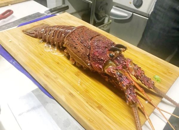 澳洲大龙虾怎么吃_澳洲龙虾做法大全-第3张图片-山城妙识 澳洲大龙虾怎么吃_澳洲龙虾做法大全-第3张图片-山城妙识