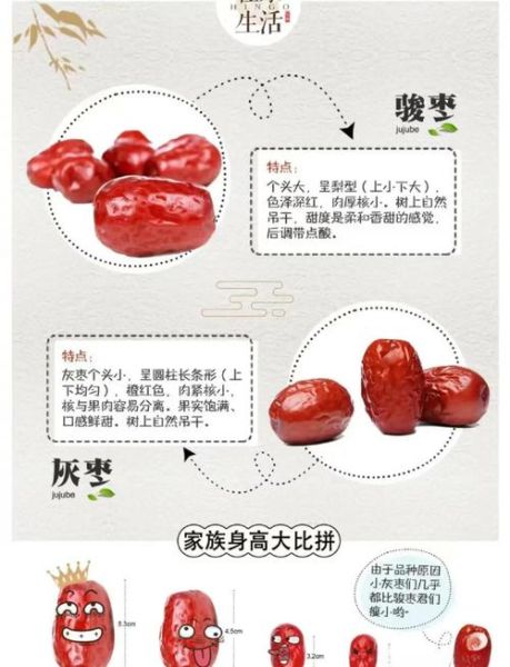 大枣和红枣的区别_哪个补血更好-第2张图片-山城妙识