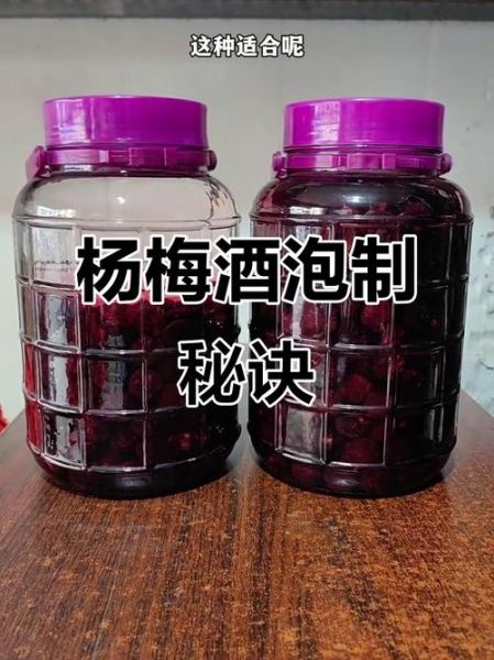 杨梅怎么泡酒_杨梅泡酒用什么酒最好-第1张图片-山城妙识 杨梅怎么泡酒_杨梅泡酒用什么酒最好-第1张图片-山城妙识