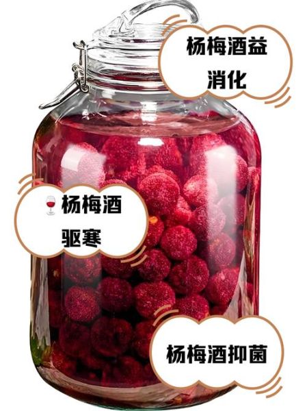 杨梅怎么泡酒_杨梅泡酒用什么酒最好-第3张图片-山城妙识 杨梅怎么泡酒_杨梅泡酒用什么酒最好-第3张图片-山城妙识