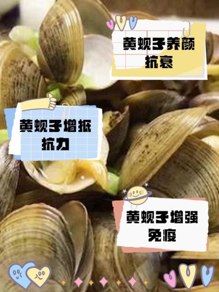 黄蚬子的功效与作用_黄蚬子怎么吃最营养-第2张图片-山城妙识 黄蚬子的功效与作用_黄蚬子怎么吃最营养-第2张图片-山城妙识