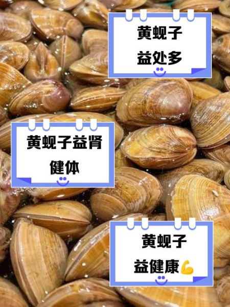 黄蚬子的功效与作用_黄蚬子怎么吃最营养-第1张图片-山城妙识 黄蚬子的功效与作用_黄蚬子怎么吃最营养-第1张图片-山城妙识