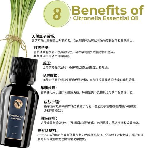 香茅精油的功效与作用_香茅精油怎么用-第3张图片-山城妙识