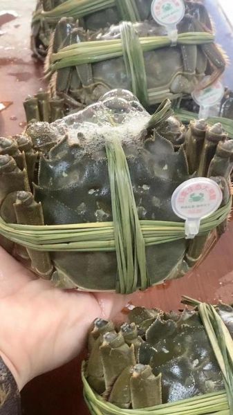 河蟹多少钱一只_河蟹价格受哪些因素影响-第1张图片-山城妙识