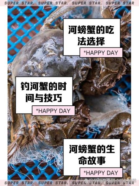 河蟹多少钱一只_河蟹价格受哪些因素影响-第2张图片-山城妙识