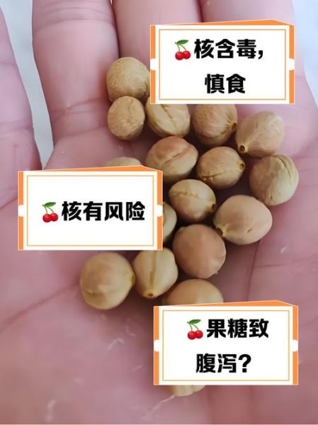 樱桃一天吃了40个会怎么样_一天吃40个樱桃会中毒吗-第3张图片-山城妙识