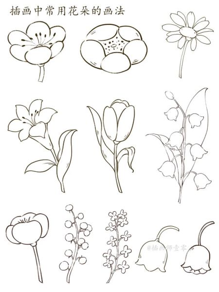 花图片大全简笔画_如何快速画-第2张图片-山城妙识 花图片大全简笔画_如何快速画-第2张图片-山城妙识