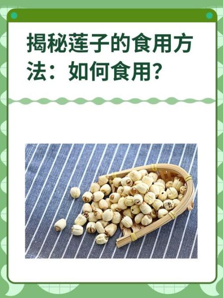莲子怎么吃最养人_莲子功效与作用禁忌-第1张图片-山城妙识 莲子怎么吃最养人_莲子功效与作用禁忌-第1张图片-山城妙识