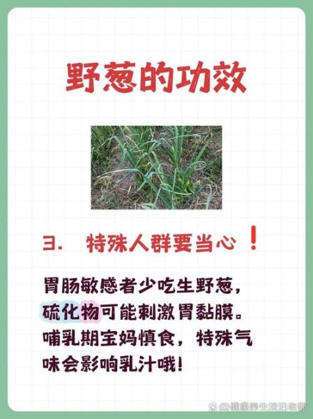 小葱的功效与作用_吃小葱有什么好处-第3张图片-山城妙识
