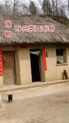 小白菜泪汪汪全集12哪里看_小白菜泪汪汪全集12剧情解析-第1张图片-山城妙识 小白菜泪汪汪全集12哪里看_小白菜泪汪汪全集12剧情解析-第1张图片-山城妙识