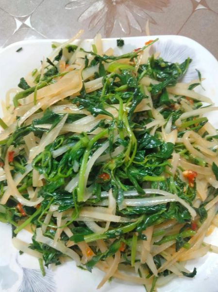 木须菜是什么_木须菜怎么做好吃-第3张图片-山城妙识