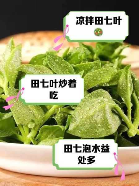 三七叶子怎么吃_三七叶子的正确吃法-第1张图片-山城妙识