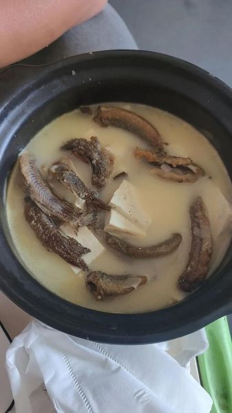 泥鳅汤怎么炖不腥_泥鳅汤炖多久最鲜-第3张图片-山城妙识