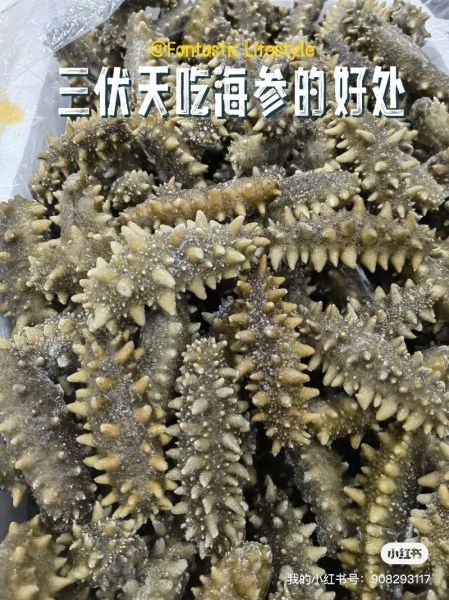 夏天吃海参上火吗_海参夏天怎么吃不上火-第2张图片-山城妙识 夏天吃海参上火吗_海参夏天怎么吃不上火-第2张图片-山城妙识