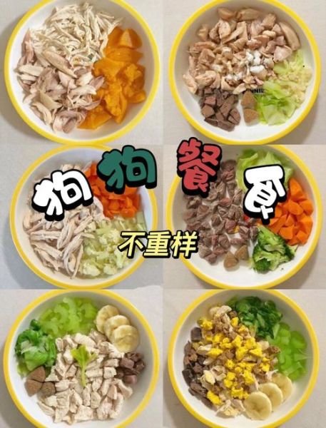 狗粮怎么做_自制狗粮配方大全-第3张图片-山城妙识