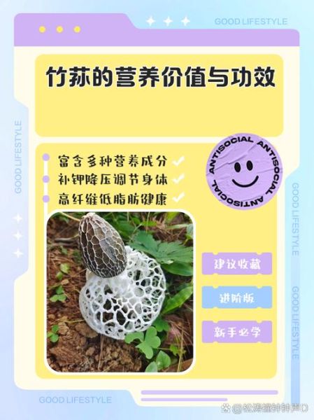 竹荪菌的功效与作用_竹荪菌的禁忌人群有哪些-第1张图片-山城妙识