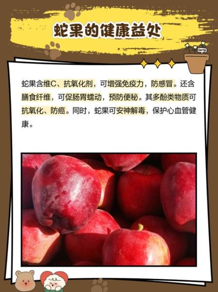 蛇果和苹果有什么区别_蛇果为什么那么贵-第2张图片-山城妙识