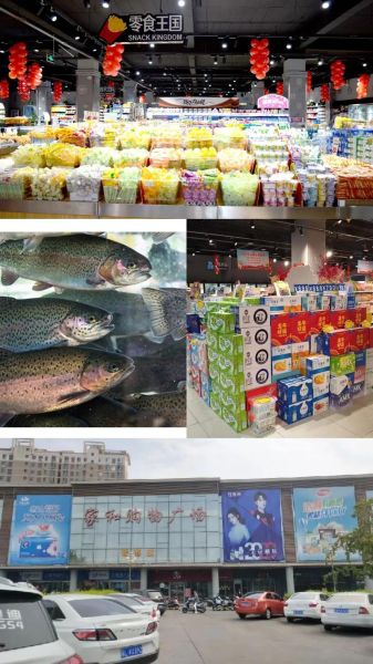 红鳟鱼一斤多少钱_红鳟鱼价格为什么差距大-第2张图片-山城妙识