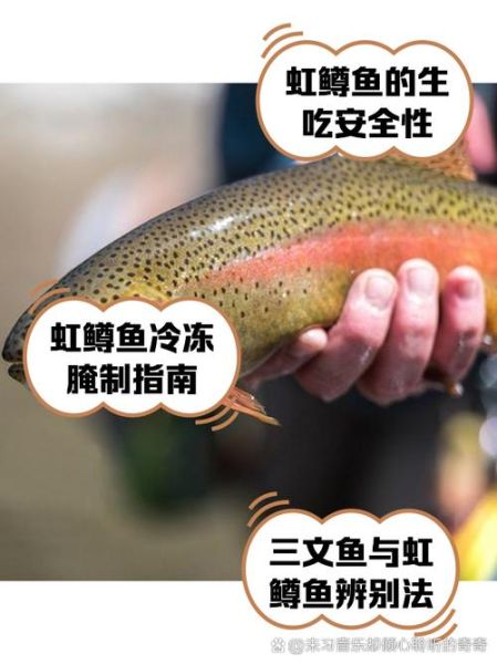 红鳟鱼一斤多少钱_红鳟鱼价格为什么差距大-第1张图片-山城妙识