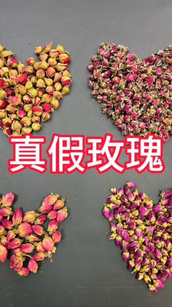 玫瑰花图片大全_如何辨别真假玫瑰-第1张图片-山城妙识