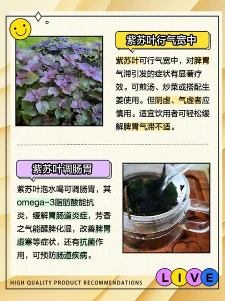 紫苏叶泡脚的功效与作用_紫苏叶泡脚可以天天泡吗-第1张图片-山城妙识