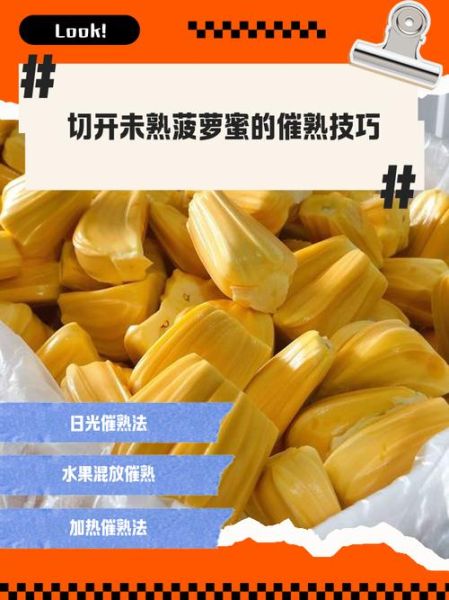 菠萝蜜怎么切_菠萝蜜切开法-第2张图片-山城妙识