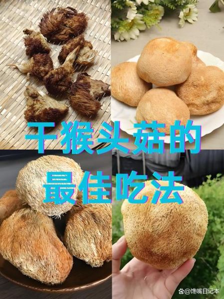 干猴头菇怎么吃_干猴头菇的做法-第1张图片-山城妙识
