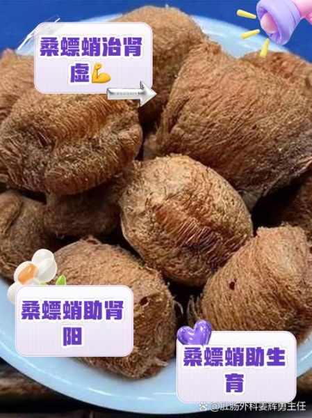 桑螵蛸的功效与作用_桑螵蛸的禁忌人群有哪些-第3张图片-山城妙识