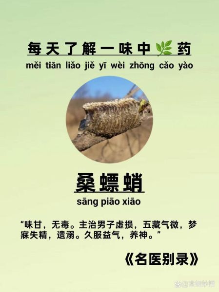 桑螵蛸的功效与作用_桑螵蛸的禁忌人群有哪些-第2张图片-山城妙识