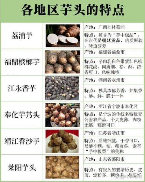 芋头有哪些种类_芋头品种怎么选-第1张图片-山城妙识