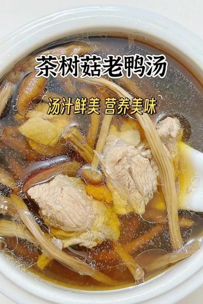 茶树菇炖老母鸡汤怎么做_茶树菇炖鸡汤要焯水吗-第1张图片-山城妙识 茶树菇炖老母鸡汤怎么做_茶树菇炖鸡汤要焯水吗-第1张图片-山城妙识