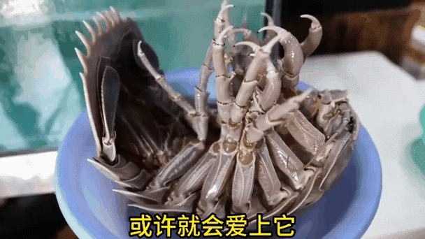 日本十大残忍美食有哪些_为什么有人敢吃-第2张图片-山城妙识