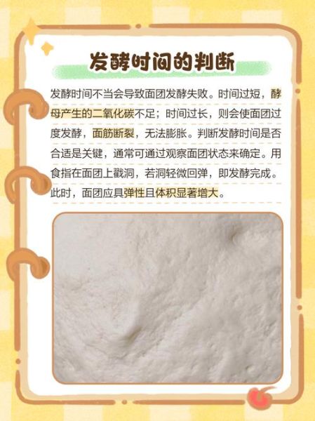 发面怎么发_发面失败的原因-第2张图片-山城妙识