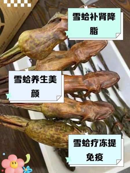 雪蛤是什么做成的_雪蛤原料有哪些-第3张图片-山城妙识