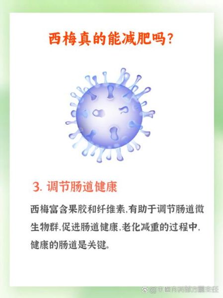 西梅的热量是多少_减肥能吃西梅吗-第3张图片-山城妙识