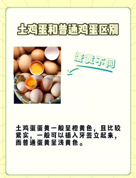 假鸡蛋和真鸡蛋的区别_如何辨别假鸡蛋-第3张图片-山城妙识