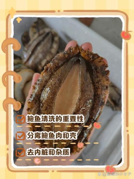 鲍鱼怎么清洗_鲍鱼怎么做好吃-第1张图片-山城妙识