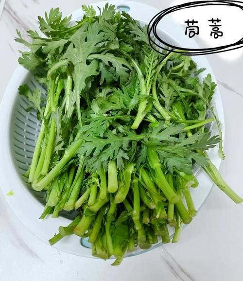 湖北茼蒿蒸菜怎么做_蒸茼蒿菜需要焯水吗-第3张图片-山城妙识