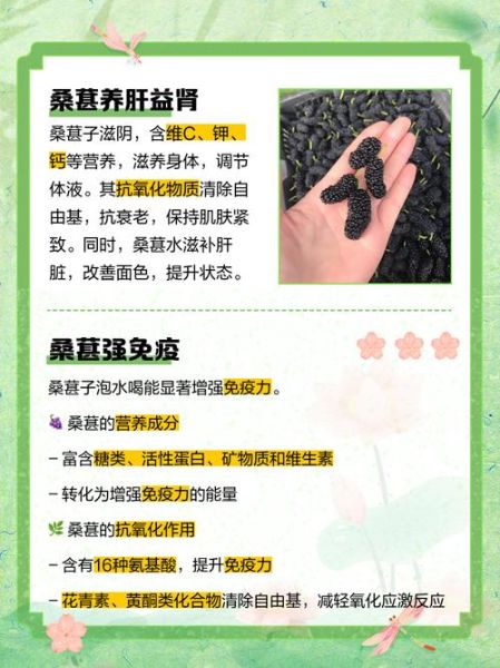 男人长期喝桑葚水有什么好处_男人长期喝桑葚水有副作用吗-第3张图片-山城妙识