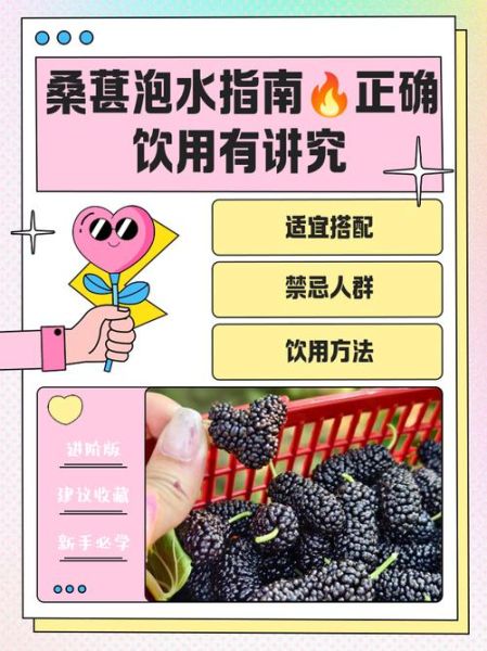 男人长期喝桑葚水有什么好处_男人长期喝桑葚水有副作用吗-第2张图片-山城妙识