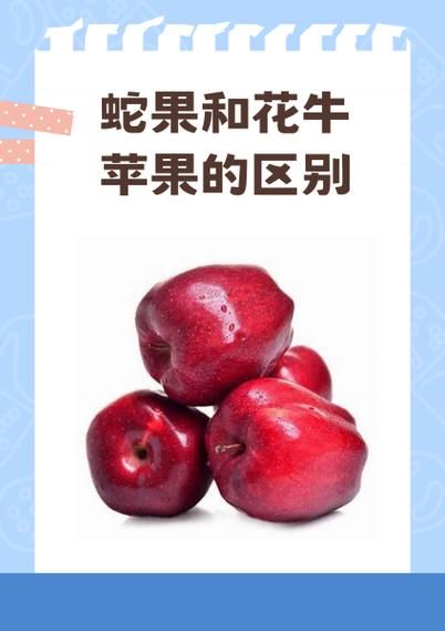 红蛇果不能和什么一起吃_哪些人不能吃红蛇果-第3张图片-山城妙识 红蛇果不能和什么一起吃_哪些人不能吃红蛇果-第3张图片-山城妙识