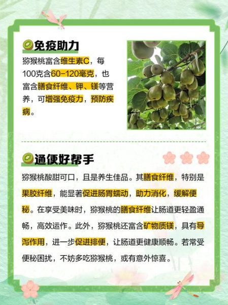 吃猕猴桃的好处和坏处_猕猴桃吃多了会怎样-第2张图片-山城妙识