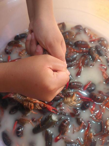 小龙虾养殖技术视频_新手怎么养小龙虾-第2张图片-山城妙识 小龙虾养殖技术视频_新手怎么养小龙虾-第2张图片-山城妙识