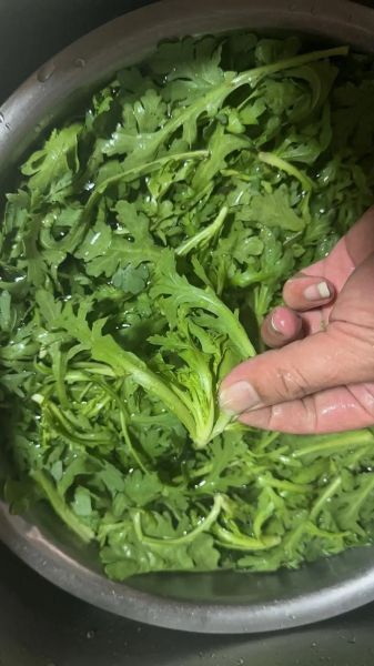 蒸茼蒿怎么蒸才好吃_蒸茼蒿的家常做法窍门-第2张图片-山城妙识