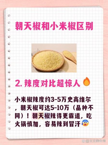 小米辣和小米椒的区别_哪个更辣-第3张图片-山城妙识 小米辣和小米椒的区别_哪个更辣-第3张图片-山城妙识