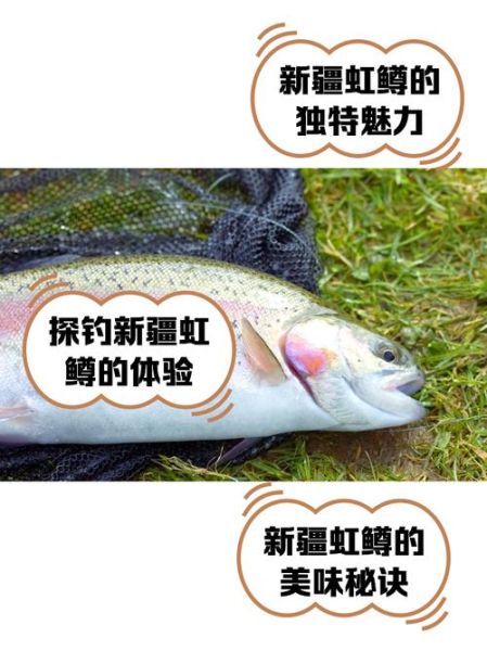 虹鳟鱼多少钱一斤_虹鳟鱼价格行情-第1张图片-山城妙识