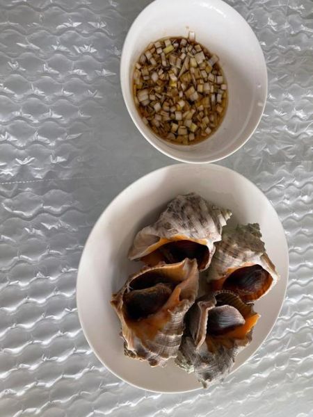 大海螺怎么做好吃_大海螺哪里产地最好-第2张图片-山城妙识 大海螺怎么做好吃_大海螺哪里产地最好-第2张图片-山城妙识