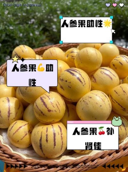 人参果一天吃几个合适_人参果的功效与作用-第1张图片-山城妙识