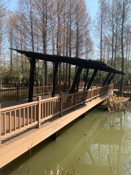 靖江蟹黄汤包哪里最正宗_靖江蟹黄汤包多少钱一个-第2张图片-山城妙识